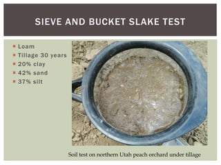 Swcs powerpoint | PPTX