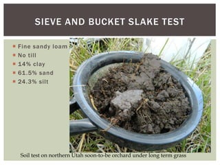 Swcs powerpoint | PPTX