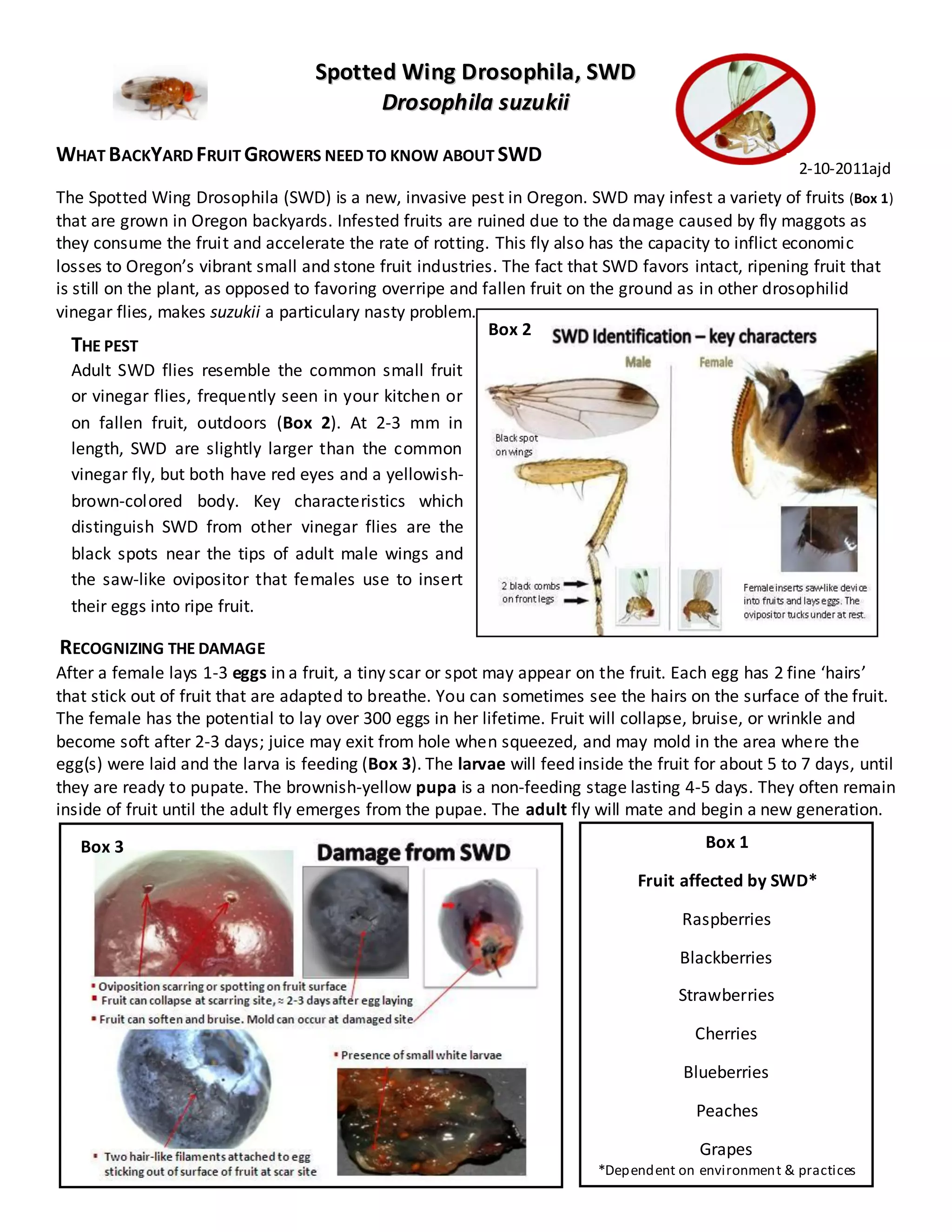 Spotted Wing Drosophila for backyard fruit growers Laurel Moulton | PDF