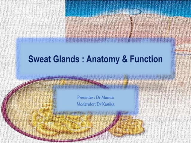 Sweat gland - anatomy and function | PPTX | Endocrine and Metabolic ...