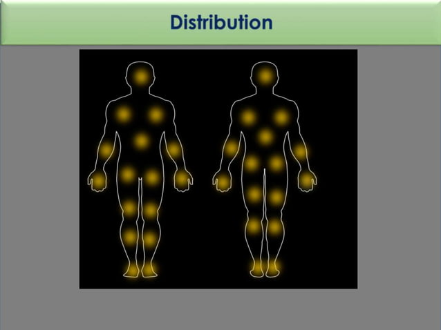 Sweat gland - anatomy and function | PPTX | Endocrine and Metabolic ...