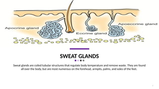 sweat gland of the disorder and its managements.pptx