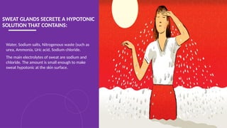sweat gland of the disorder and its managements.pptx