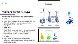 sweat gland of the disorder and its managements.pptx