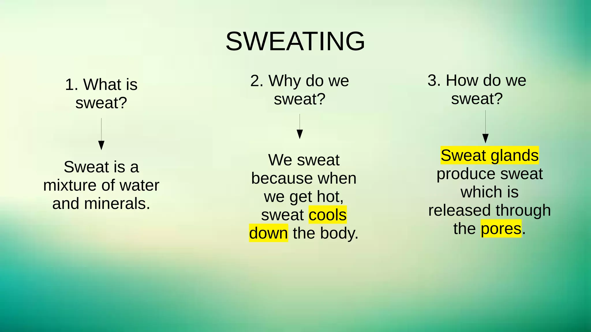 Sweat glands | PDF | Skin and Dermatology | Diseases and Conditions