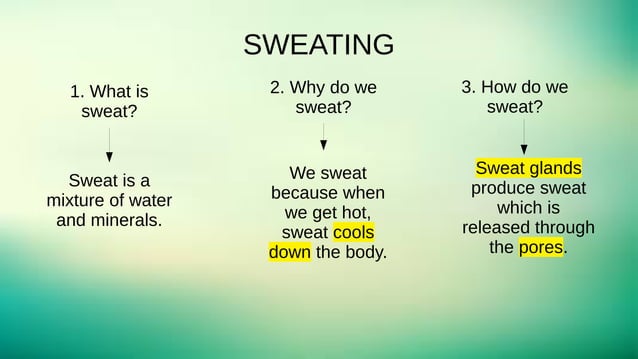 Sweat glands | PDF