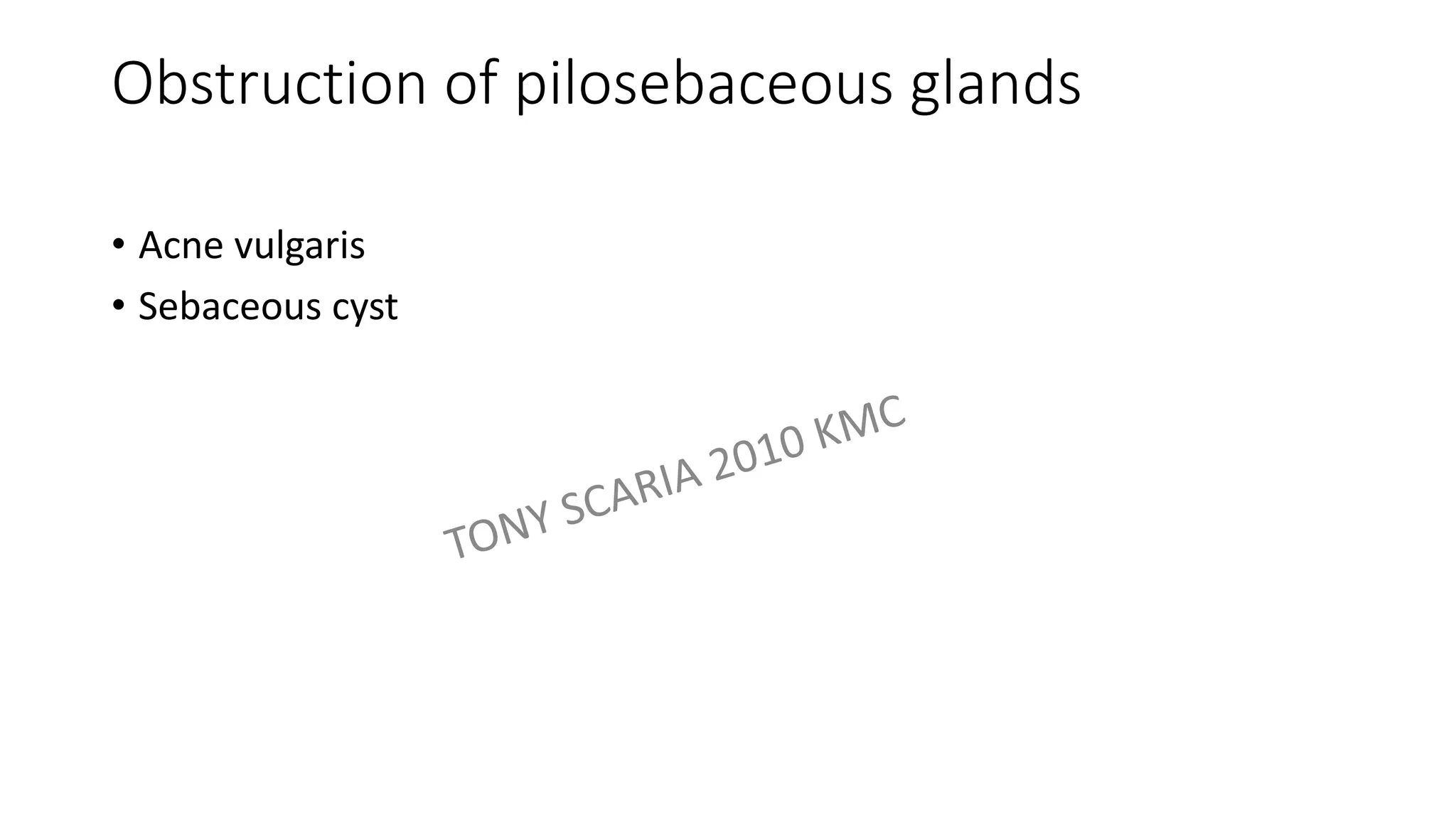 Sweat gland & sebaceous gland dermatology revision notes | PPTX