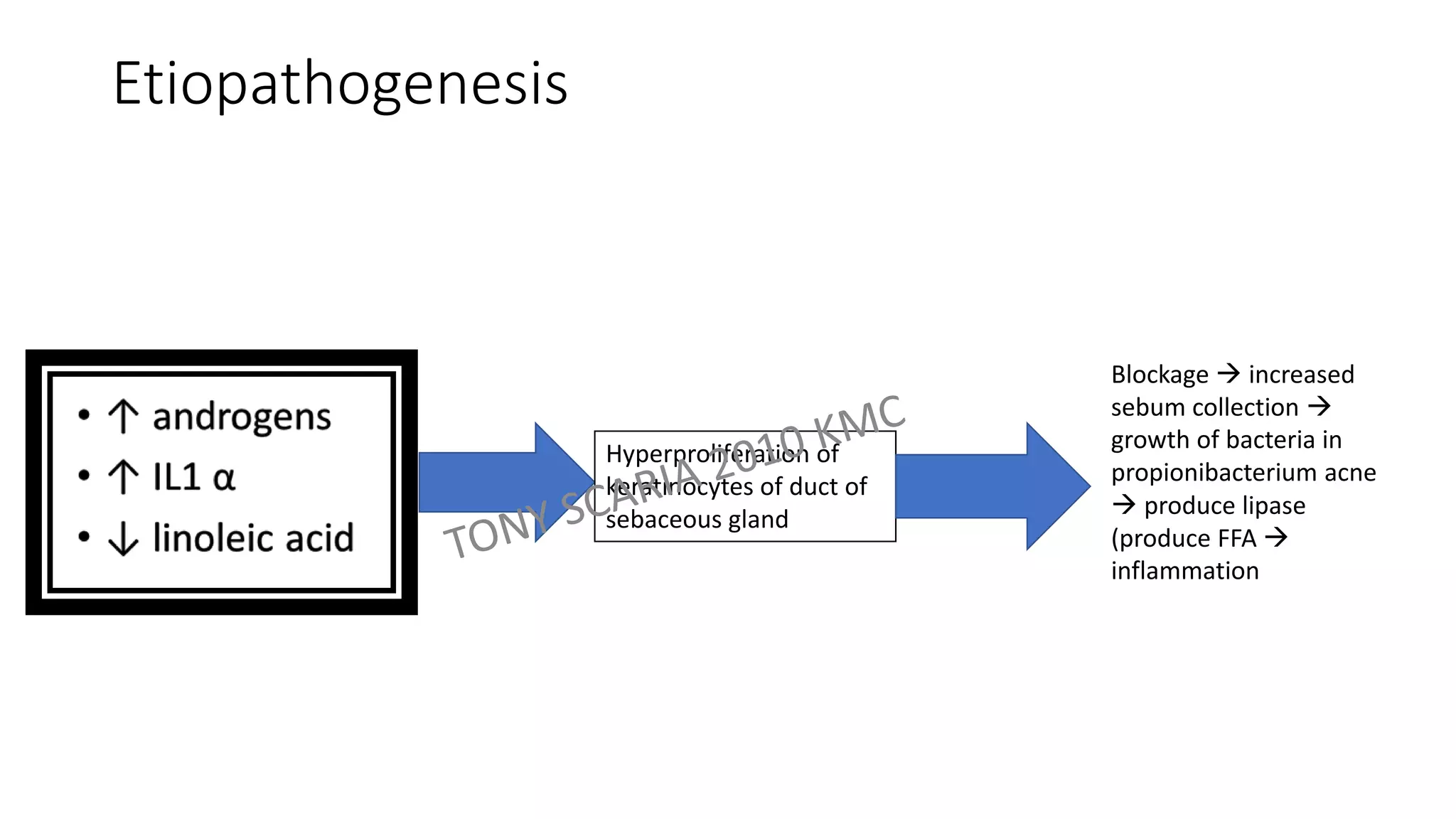 Sweat gland & sebaceous gland dermatology revision notes | PPTX