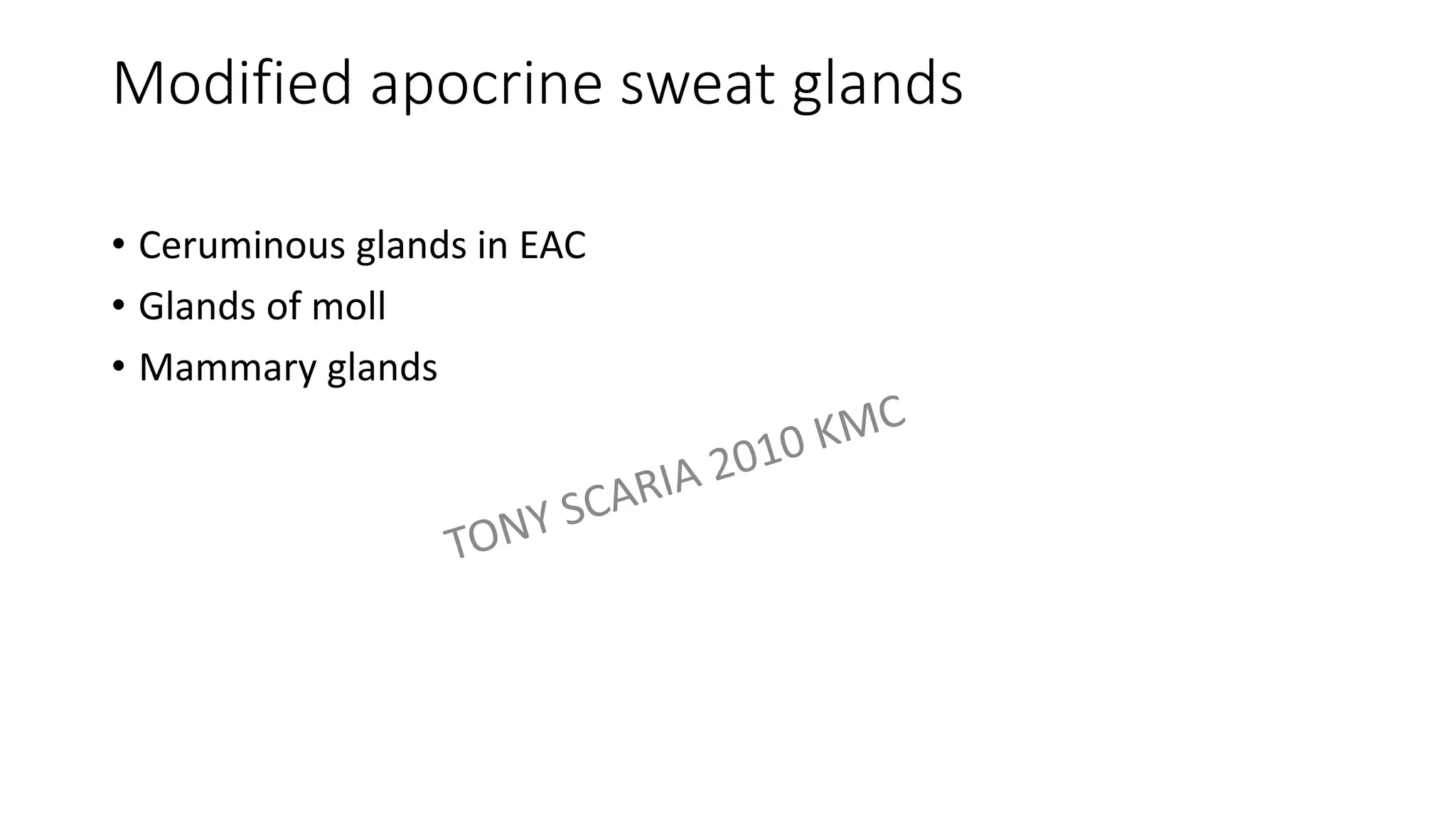 Sweat gland & sebaceous gland dermatology revision notes | PPTX