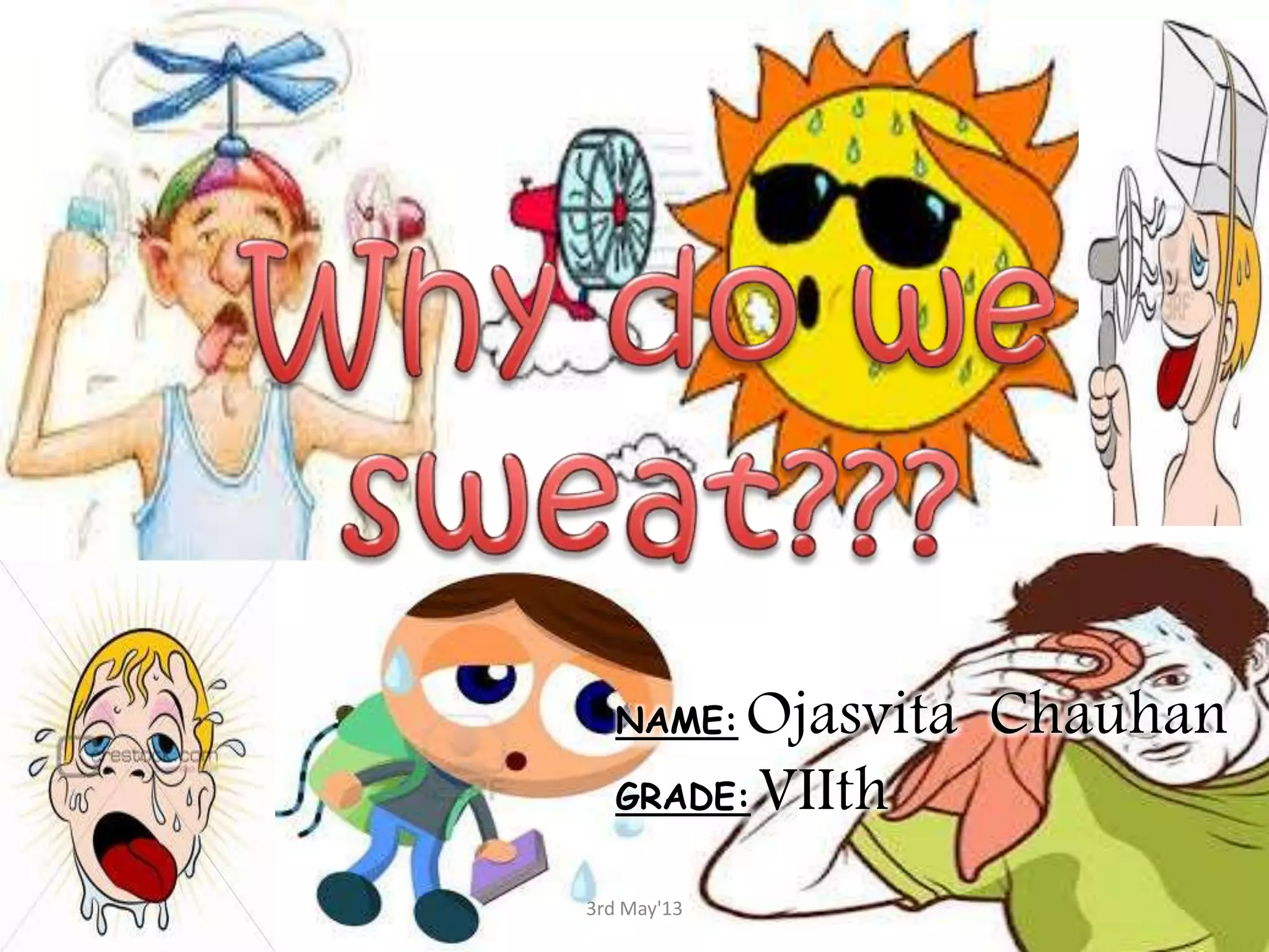 Types of Sweat Glands and Their Functions | PPT