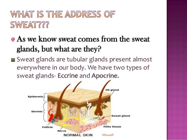 Sweat info...