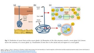 Sweat sensors - a Review of latest technologies | PPTX