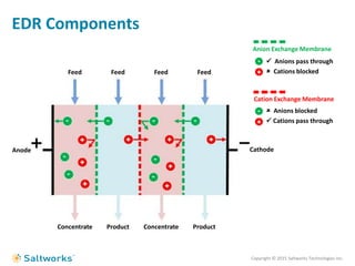EDR 101: Introduction to Electrodialysis Reversal | PPTX