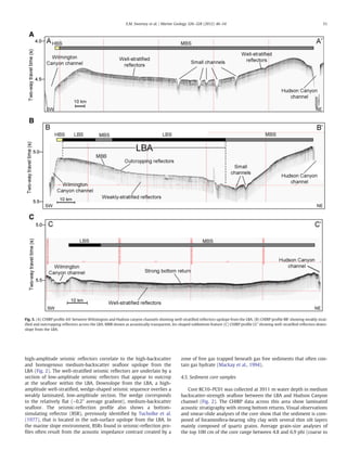 Geological interpretation of a low-backscatter anomaly found on the New ...