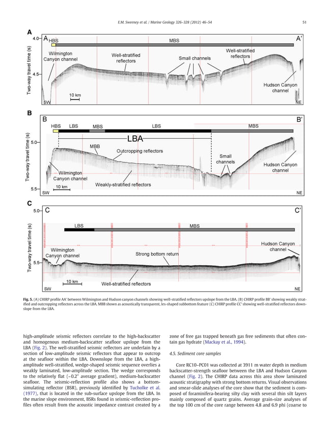 Geological interpretation of a low-backscatter anomaly found on the New ...