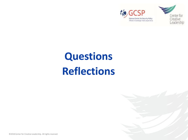 Examining a global NGO’s collective capacity to lead | PPT