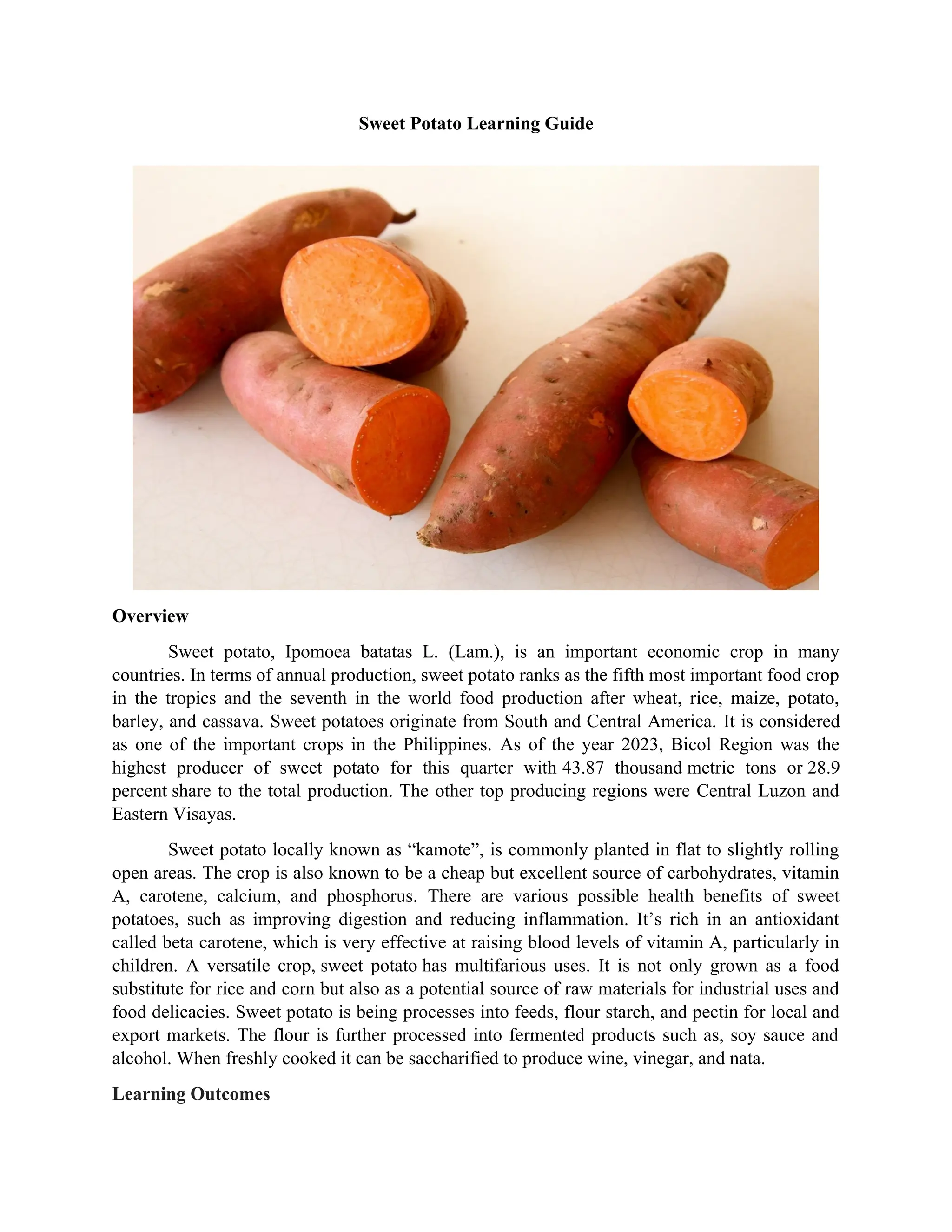 Sweet-Potato-Learning-Guide in the Philippines | DOCX