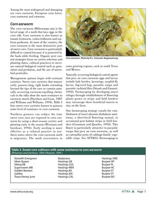 Sweet Corn: Organic Production | PDF