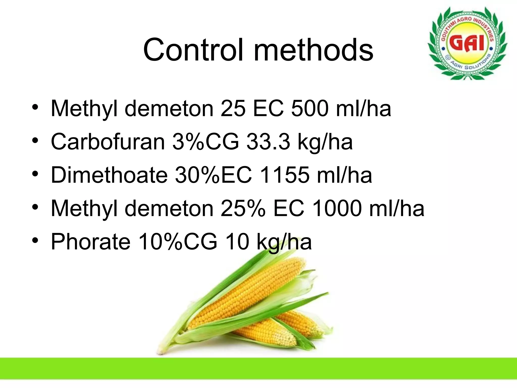 Sweet corn package of practices | PPT