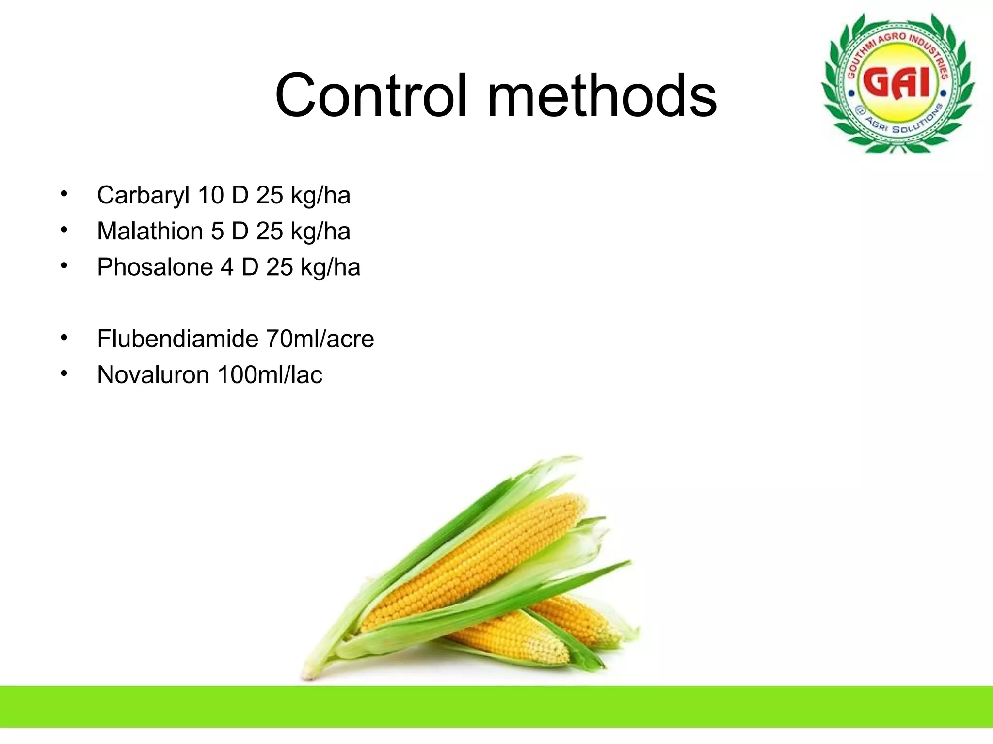 Sweet corn package of practices | PPT