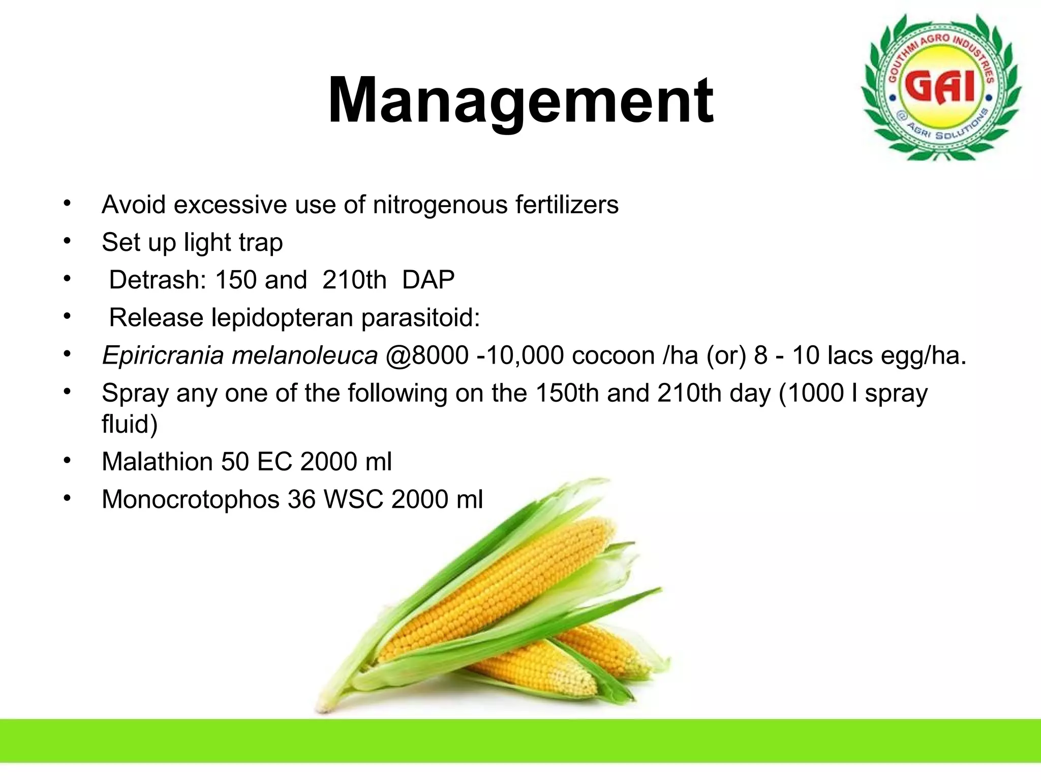 Sweet corn package of practices | PPT