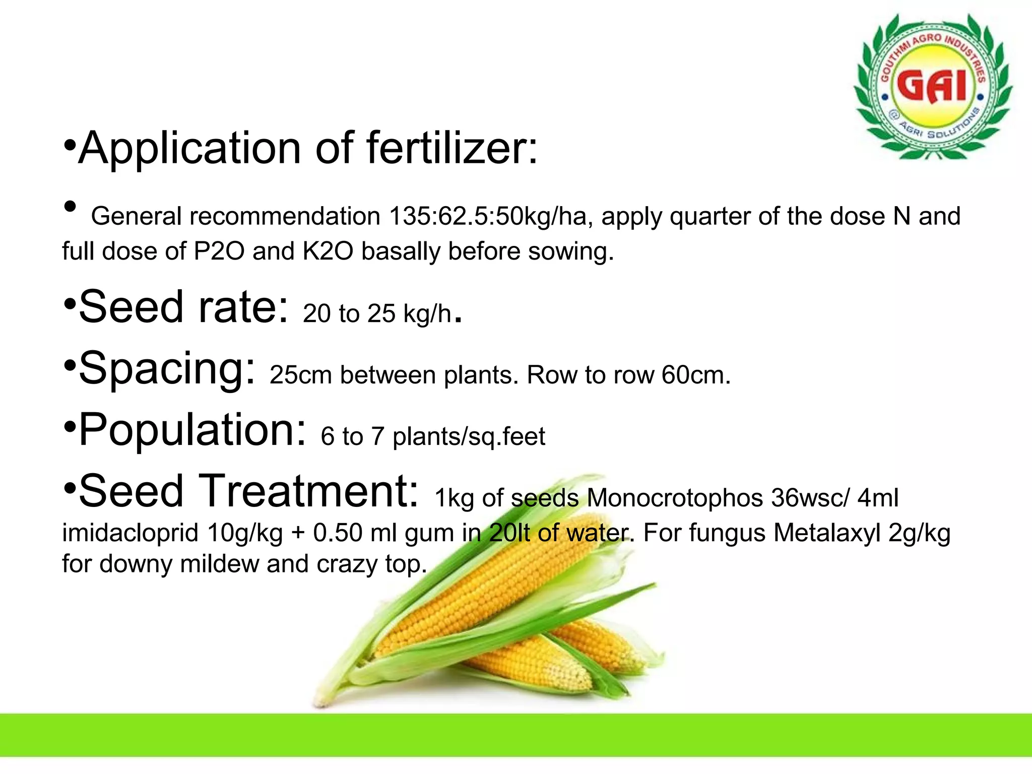 Sweet corn package of practices | PPT