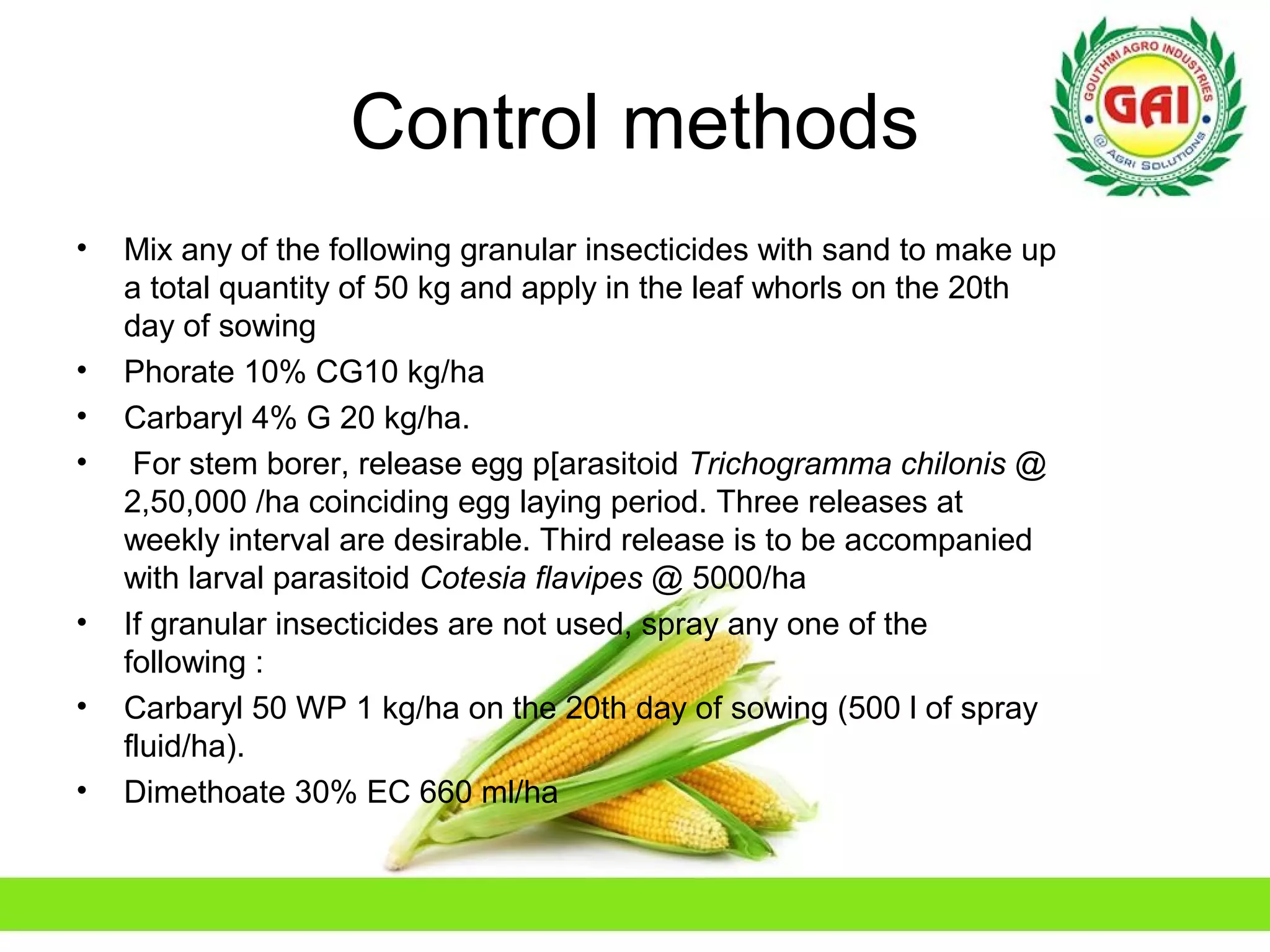 Sweet corn package of practices | PPT