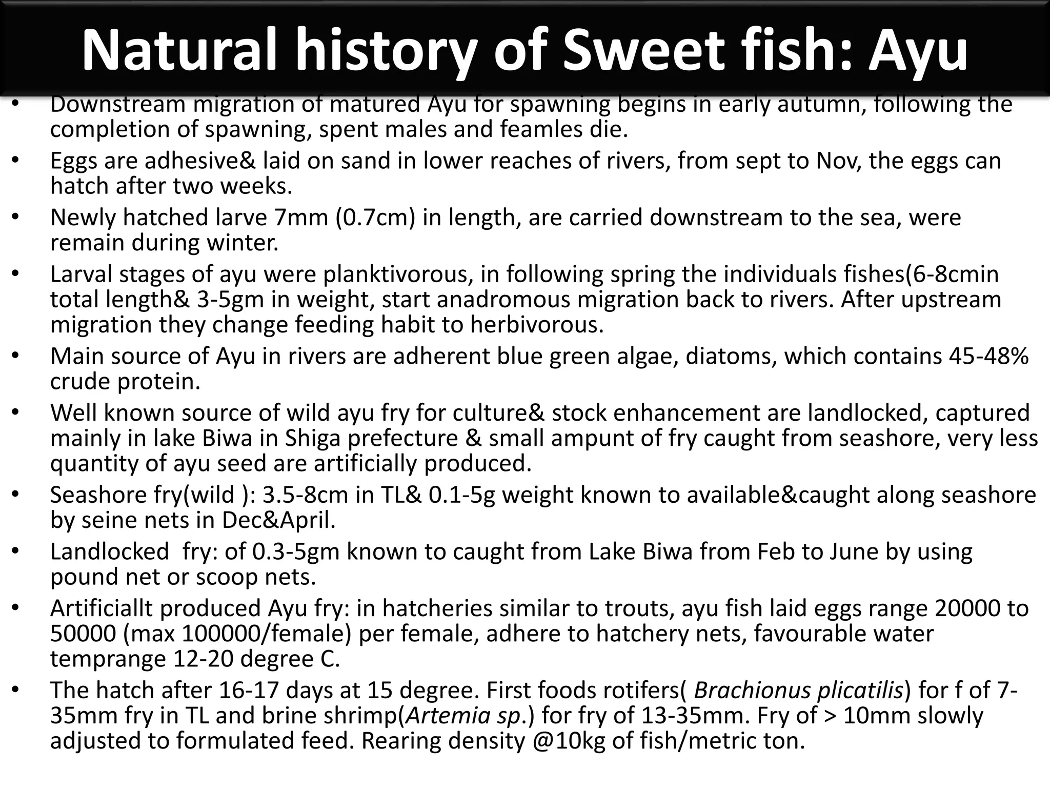 Sweetfish AyuTaxonomy Biology and farming.pptx