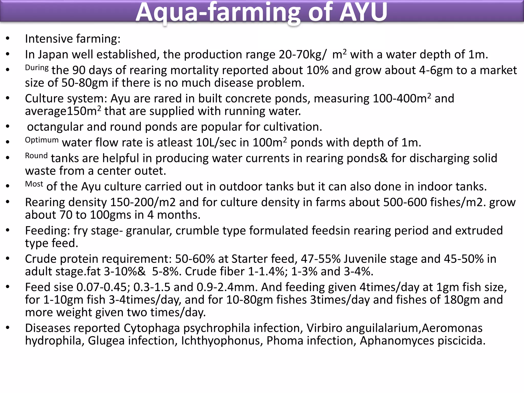 Sweetfish AyuTaxonomy Biology and farming.pptx