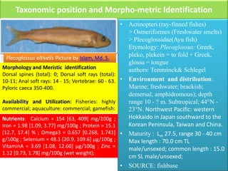 Sweetfish AyuTaxonomy Biology and farming.pptx