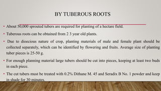 sweetgourd-210917070927.pptx