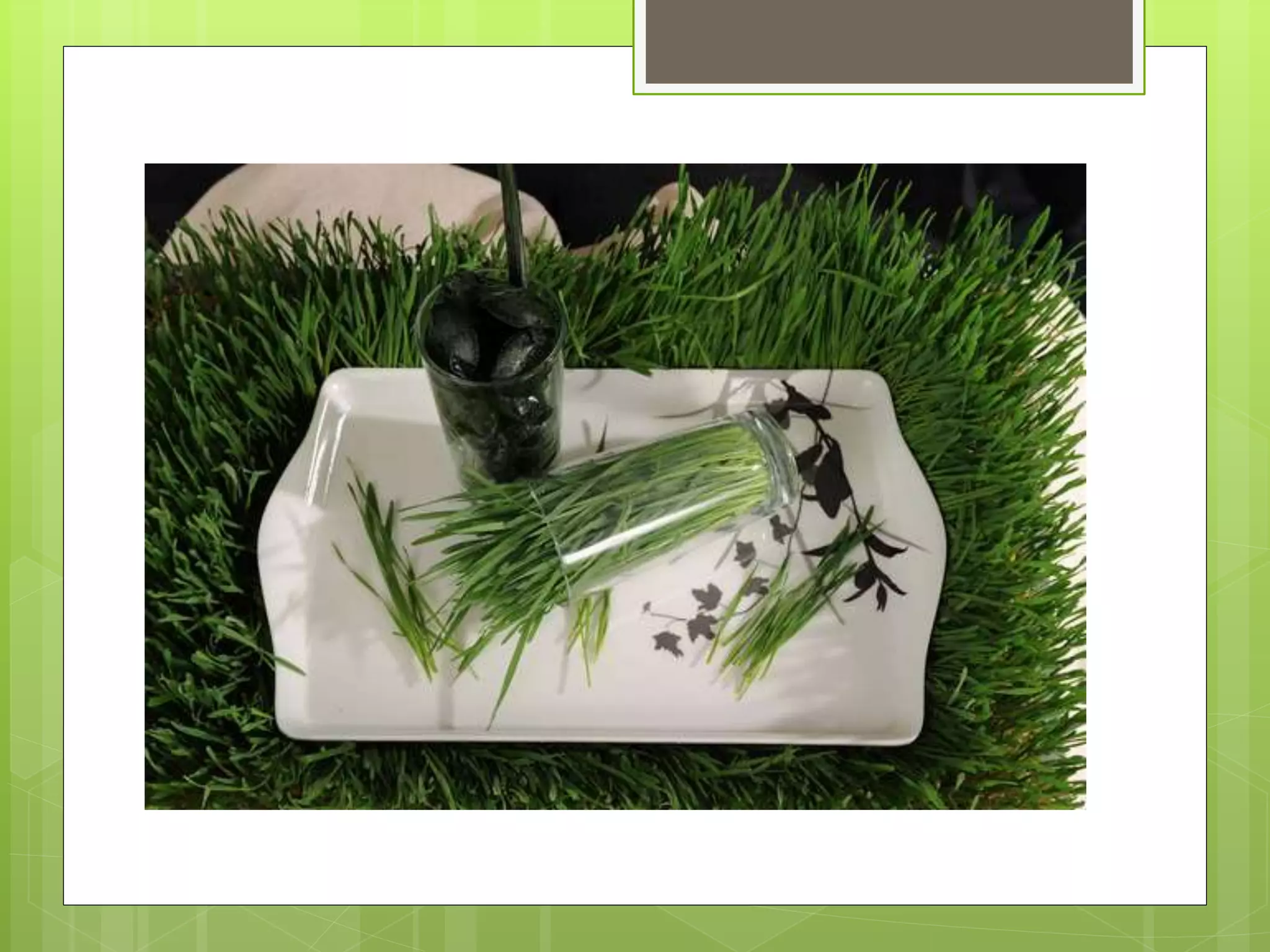 Sweetgrass | PPTX