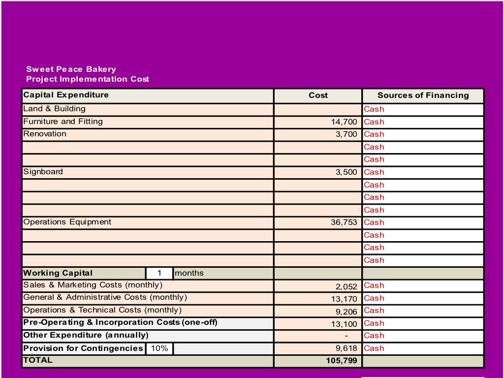 Sample Business Plan Presentation Sample Business Plan Presentation