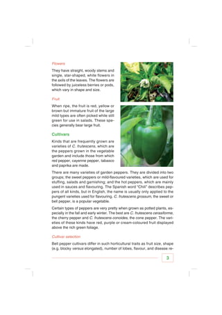 Sweetpepper | PDF