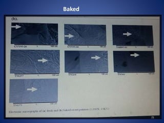 Sweet potato sugar composition and starch morphology study | PPTX | Desserts and Baking | Food ...