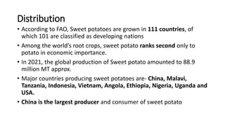 Production technology of Sweet Potato.pptx
