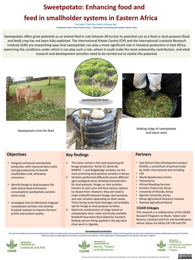 Sweetpotato: Enhancing food and feed in smallholder systems in Eastern ...