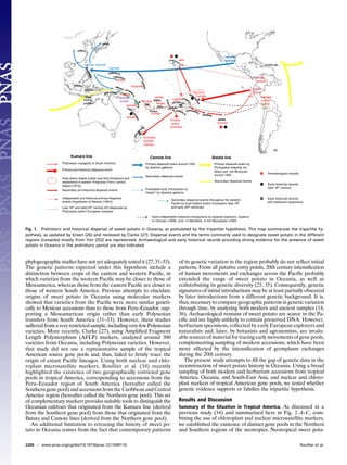 Sweet Potato Diffusion | PDF | Genetics | Science