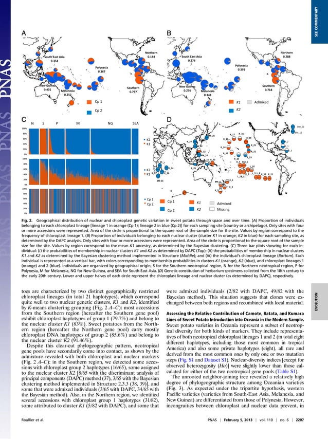 Sweet Potato Diffusion | PDF | Genetics | Science