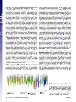 Sweet Potato Diffusion | PDF | Genetics | Science