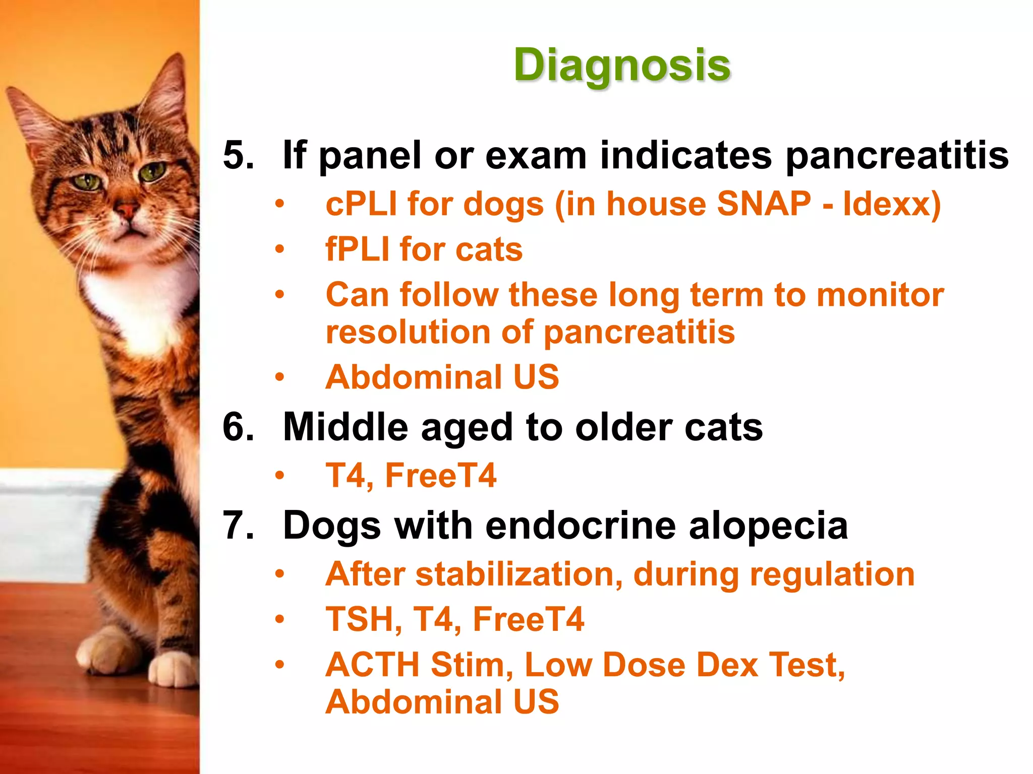 Sweet Success in diabetic cat management.ppt