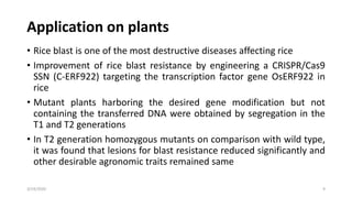 RNA-guided genome editing tool CRISPR-Cas9:Its Applications and ...