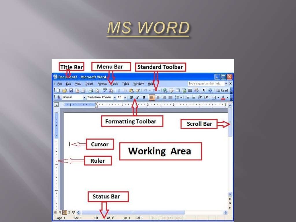 introduction to ms office –word,excel & powerpoint