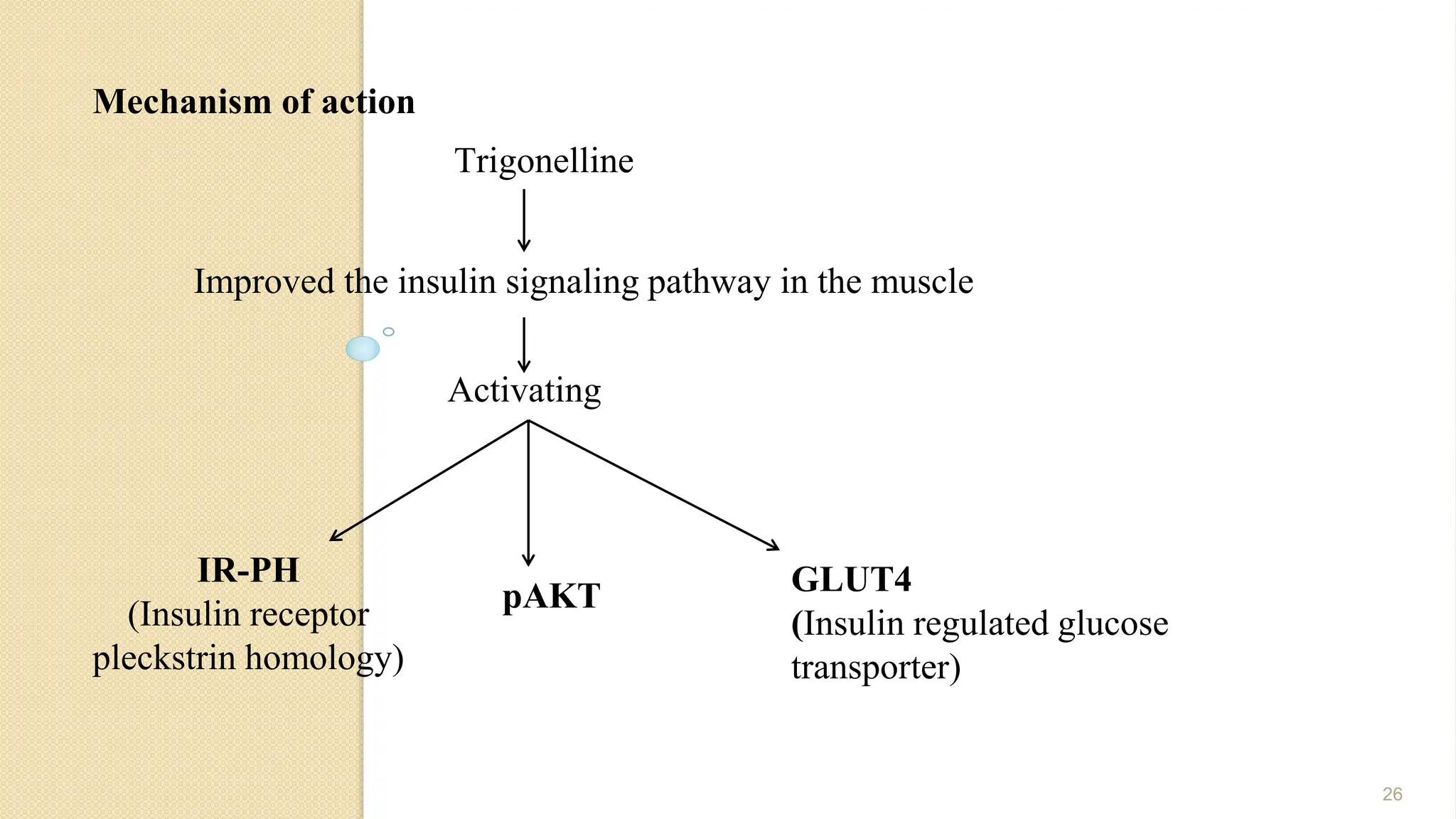 Active constituent of Swertia chirata and Trigonella foenum graccum ...