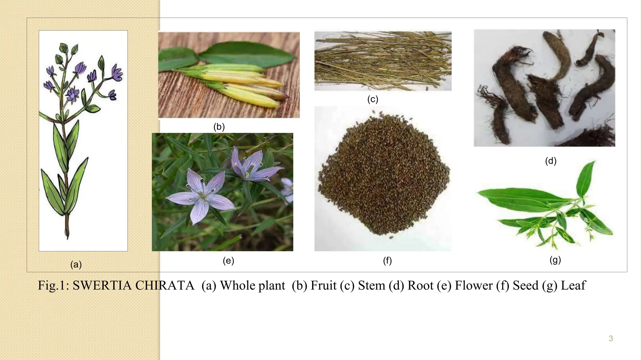 Active constituent of Swertia chirata and Trigonella foenum graccum ...
