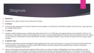 sweta infectious disease presentation on cholera | PPT
