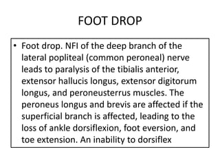 Leprosy & its pt management | PPTX