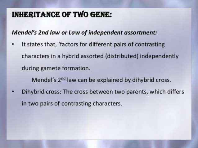 PRINCIPLES OF INHERITANCE AND VARIATION | PPTX