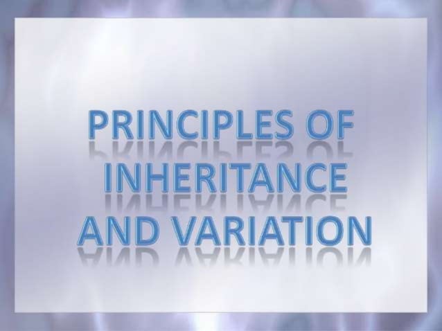 PRINCIPLES OF INHERITANCE AND VARIATION | PPTX