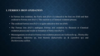 BIOGEOCHEMICAL CYCLES in Environment.pptx